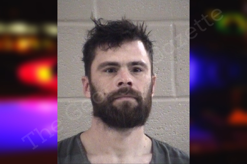 Matthew Hamilton — Whitfield County Jail Bookings