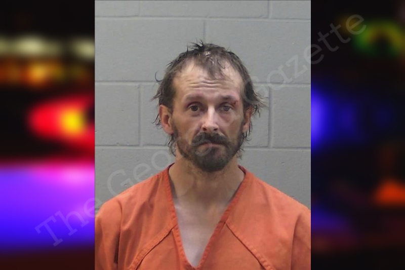 Travis Hamilton — Madison County Jail Bookings