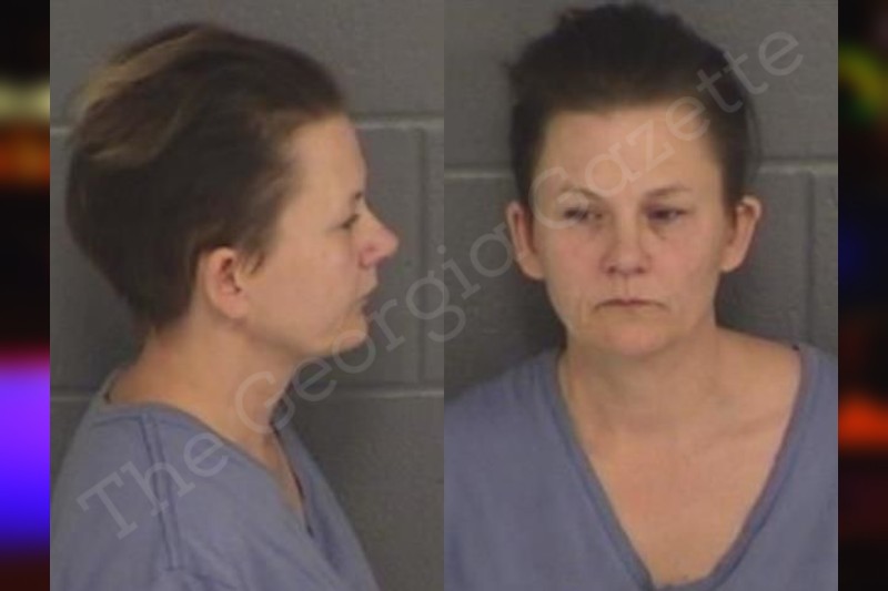 Bethany Harpis — Barrow County Jail Bookings