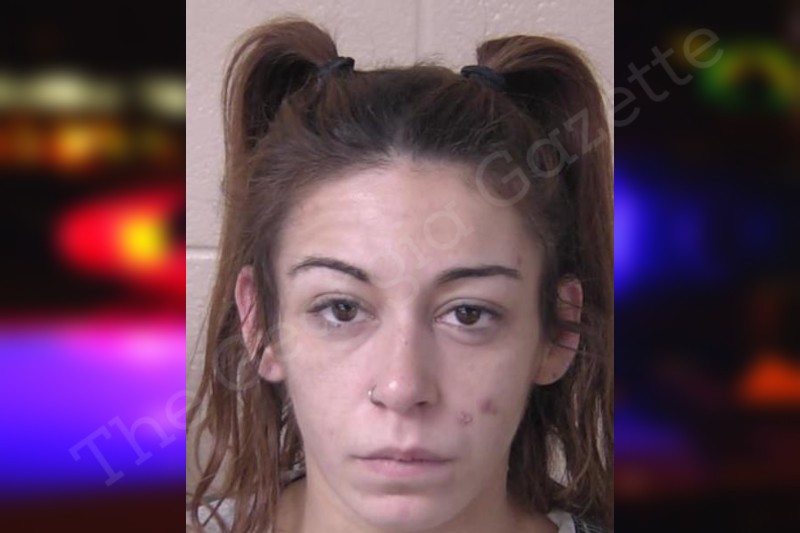 Stormy Hatfield — Walker County Jail Bookings