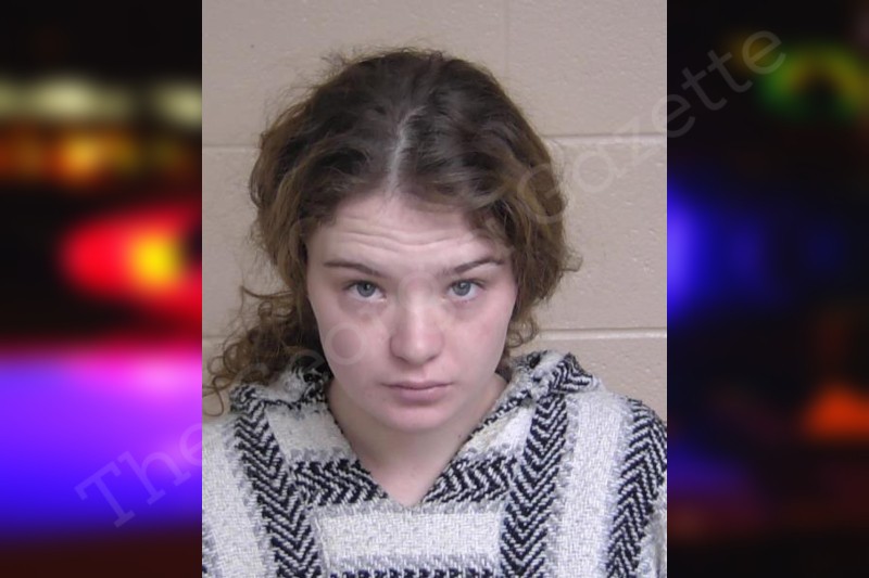 Kylee Hixson — Walker County Jail Bookings