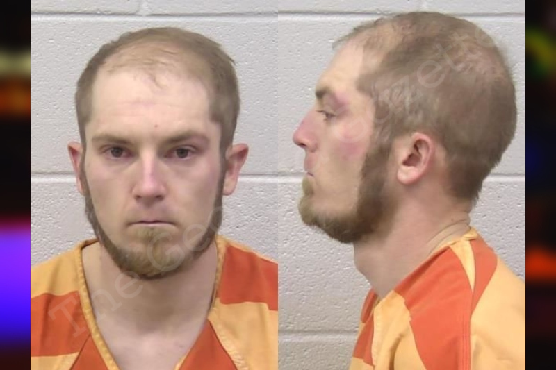 Seth Hopkins — Paulding County Jail Bookings