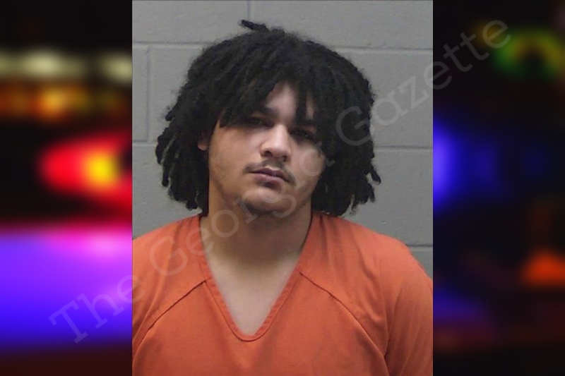 Austin Horn — Madison County Jail Bookings