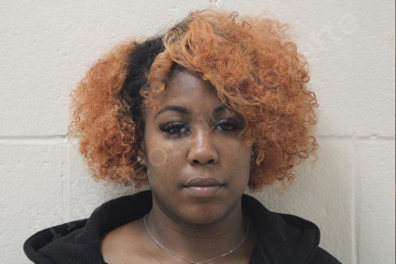 Erika Ingram — Jones County Jail Bookings