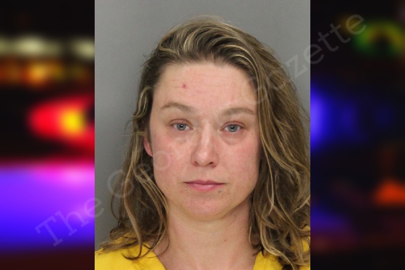 Brooke Jennings — Cobb County Jail Bookings
