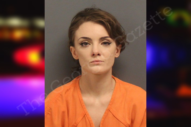 Jessica Johnson — Lumpkin County Jail Bookings