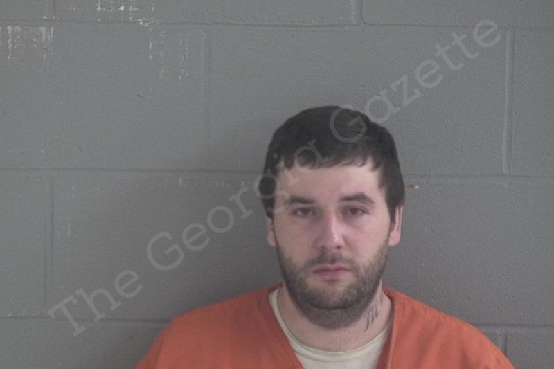 Ryan Johnson — Brantley County