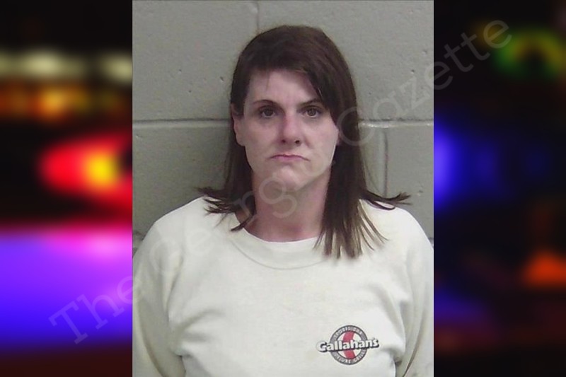 Michelle Johnson — Wayne County Jail Bookings