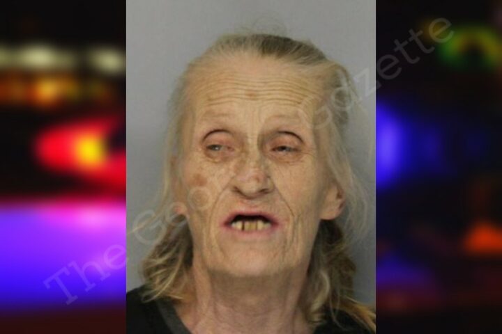 Teresa Kinsey | Hall County Jail Bookings