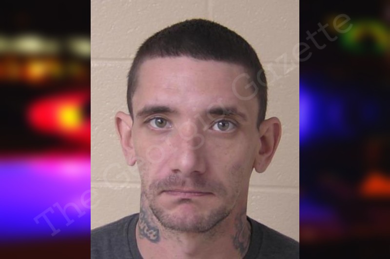 Phillip Knight — Walker County Jail Bookings