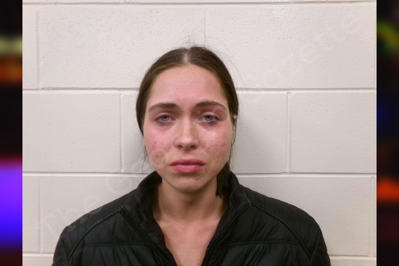 Courtney Kull — Bulloch County Jail Bookings