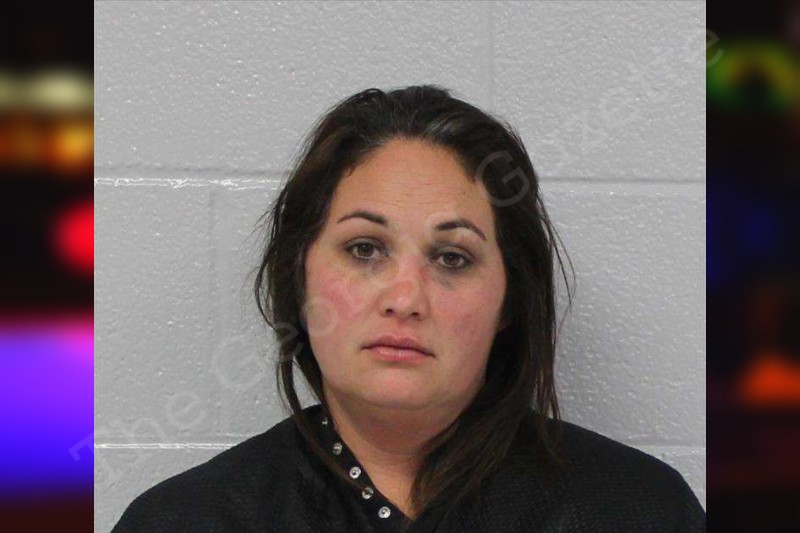 Ashley Lindeman — Carroll County Jail Bookings