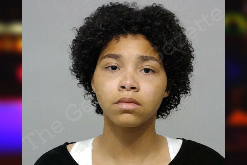 Lanesha Spivey — Bibb County Jail Bookings
