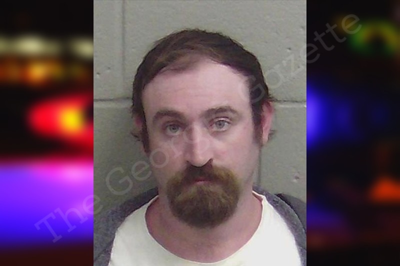 Blake Lear — Wayne County Jail Bookings