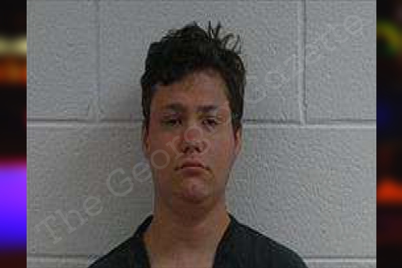 Cody Lewis | Polk County Jail Bookings
