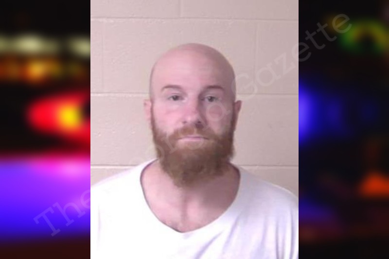 Brian Loeb — Walker County
