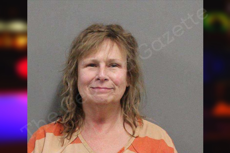 Bonnie Long — White County Jail Bookings