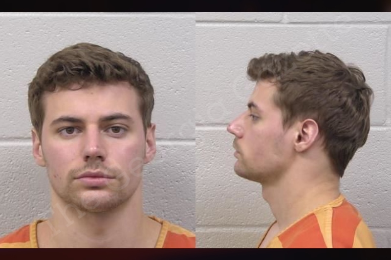 David Lowman — Paulding County Jail Bookings