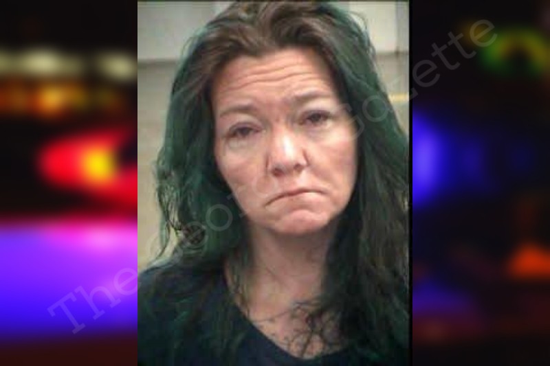 Sara Ludwick — Heard County Jail Bookings