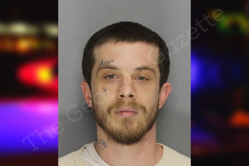 Nicholas Malone - Cobb County Jail Bookings