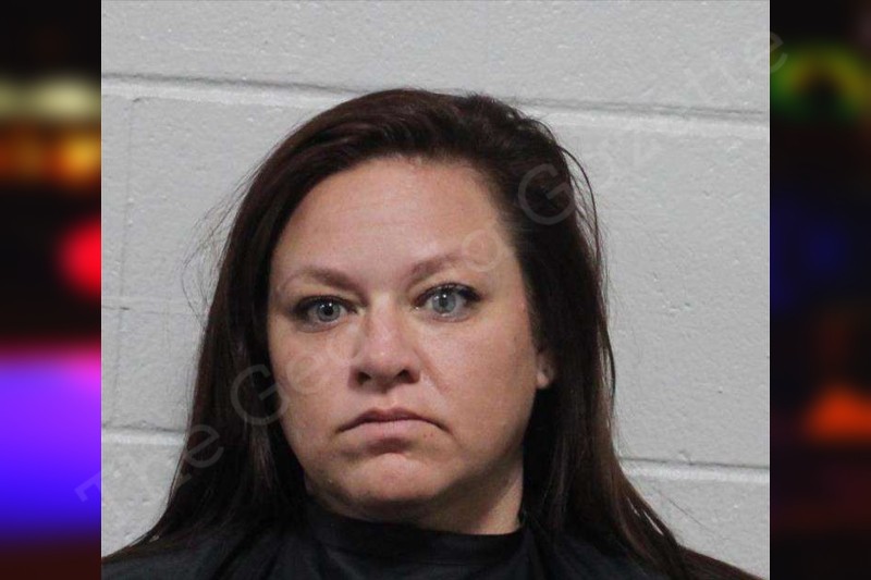 Kristi Medlock — Habersham County Jail Bookings