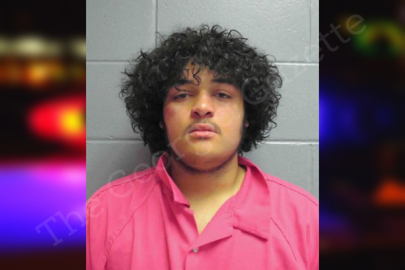 Brayden Mitchell — Lee County