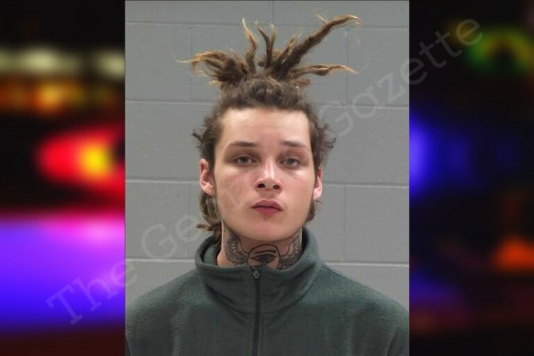 Ayden Moore — Baldwin County Jail Bookings