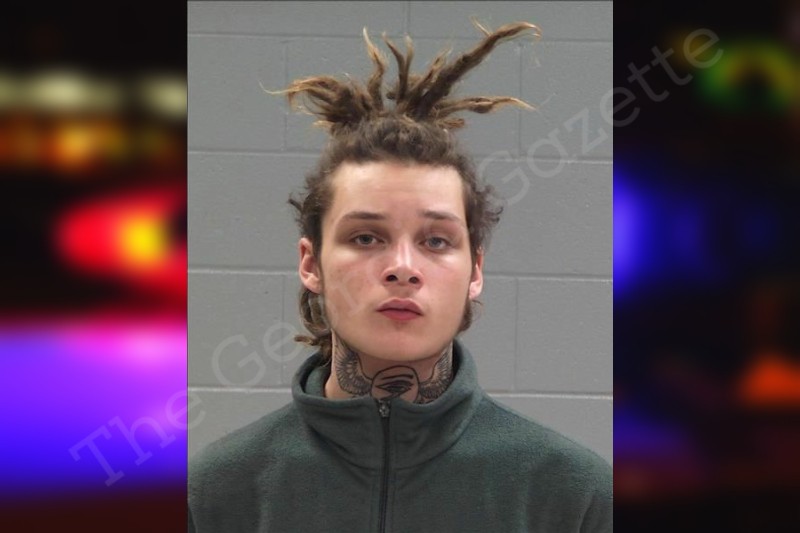 Ayden Moore — Baldwin County Jail Bookings