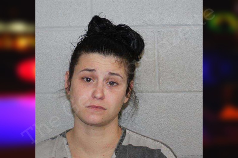 Danielle Moore — Harris County Jail Bookings