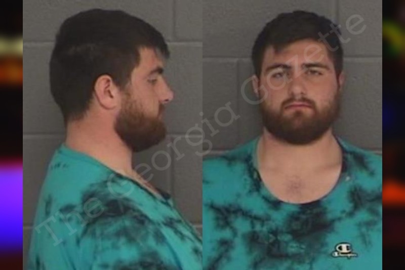Vincent Manna — Barrow County Jail Bookings