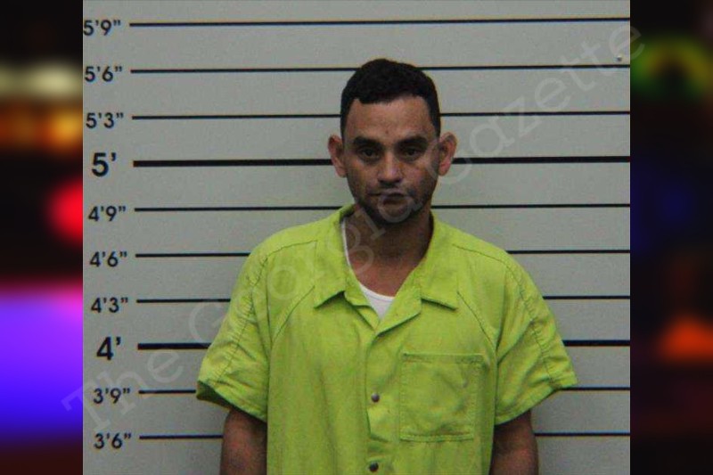 Ruilvettrs Martinez-Lopez — Turner County Jail Bookings
