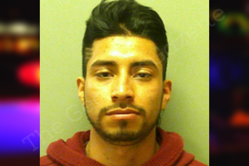 Wilfredo Martinez-Roldan — Towns County Jail Bookings