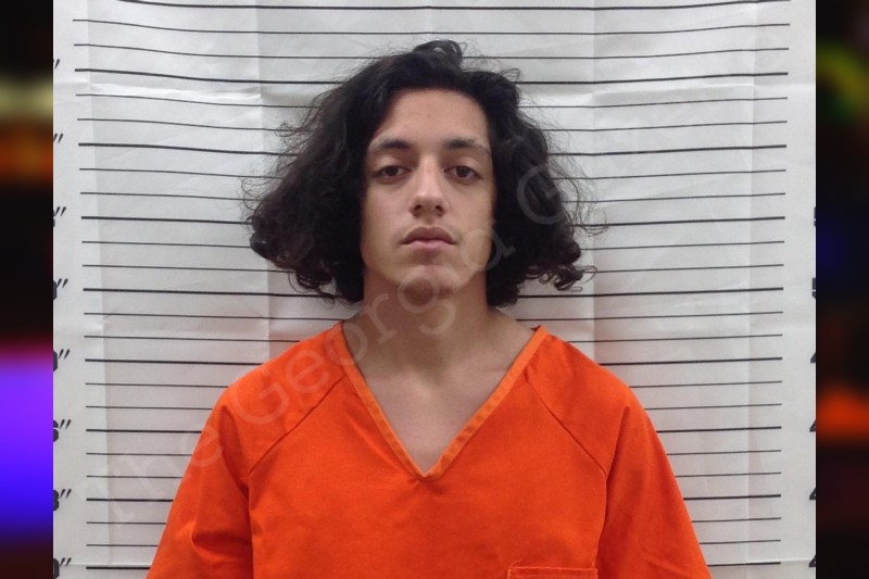 David Mathes — Pickens County Jail Bookings