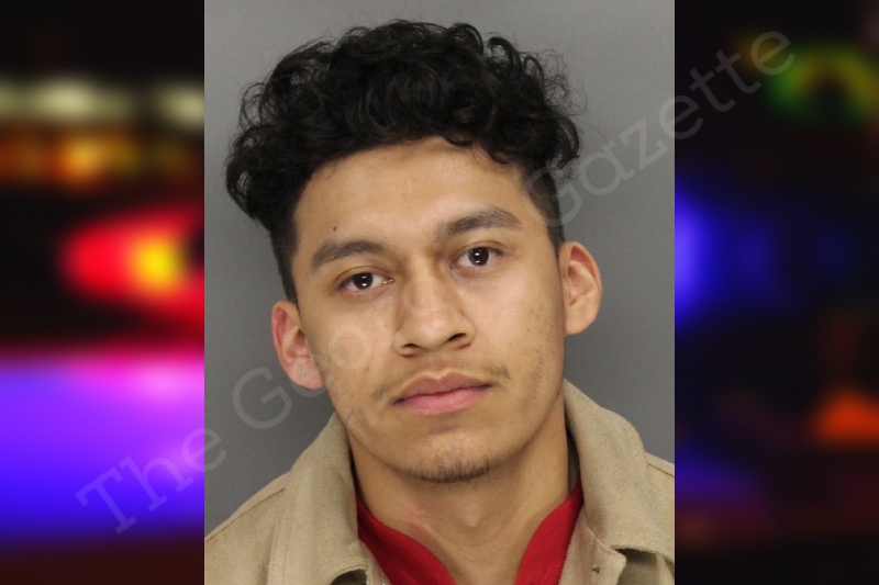 Carlos Mendez Cobb County Jail Bookings