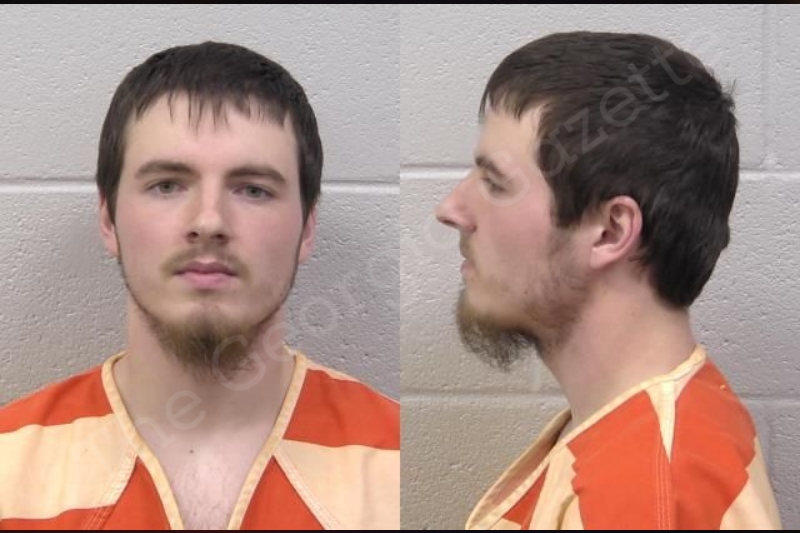 Trenton Minter — Paulding County Jail Bookings