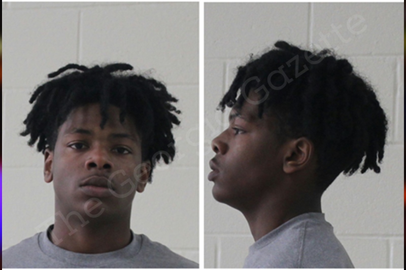 Makale Mitchell — Houston County Jail Bookings