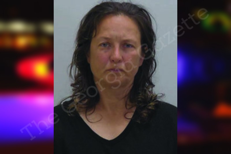 Irina Neacsu — Bartow County Jail Bookings