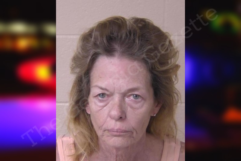 Susan Northway — Walker County Jail Bookings