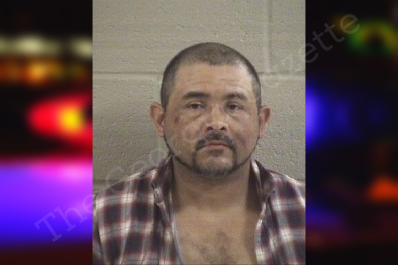 Martin Ortega — Whitfield County Jail Bookings