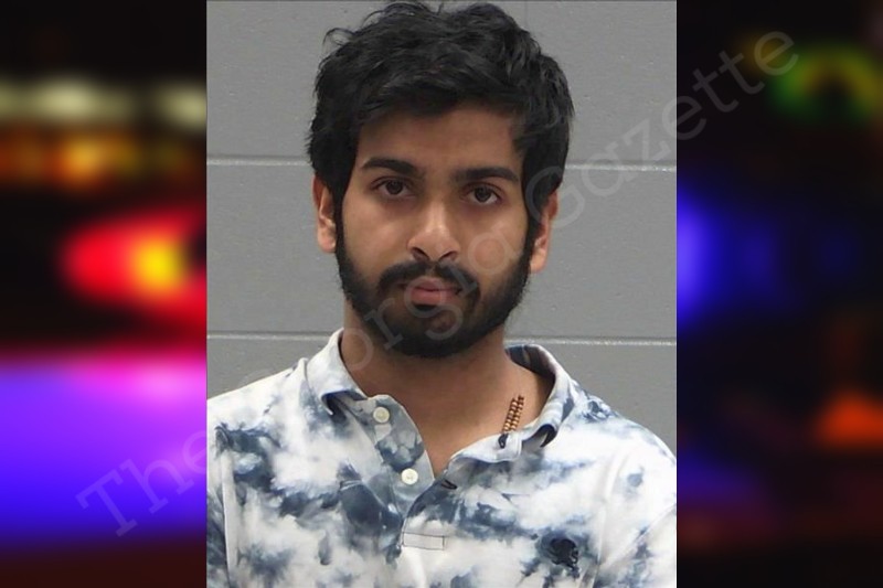 Pujan Patel — Baldwin County Jail Bookings