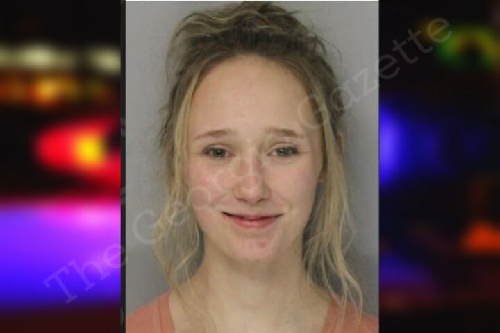 Ashlyn Phillips — Hall County Jail Bookings