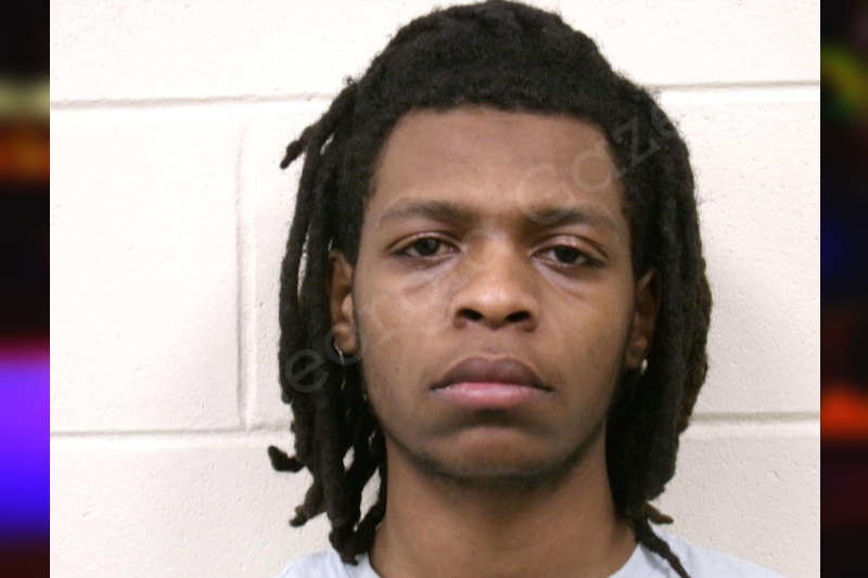 Darius Palmer — Bulloch County