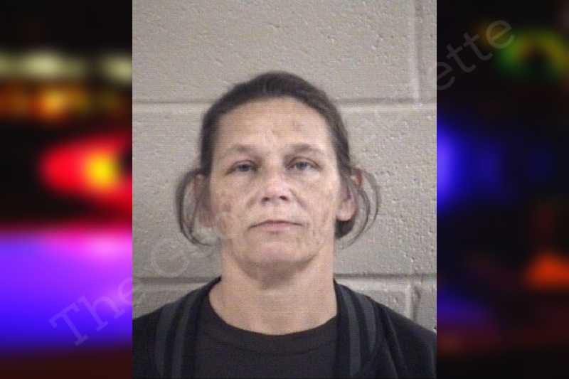 Mary Payne — Whitfield County Jail Bookings