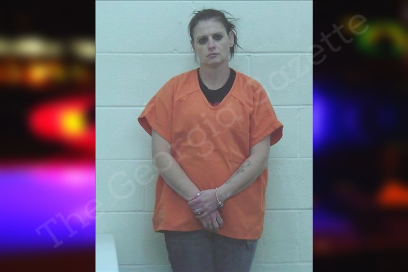 Christie Purvis — Worth County Jail Bookings