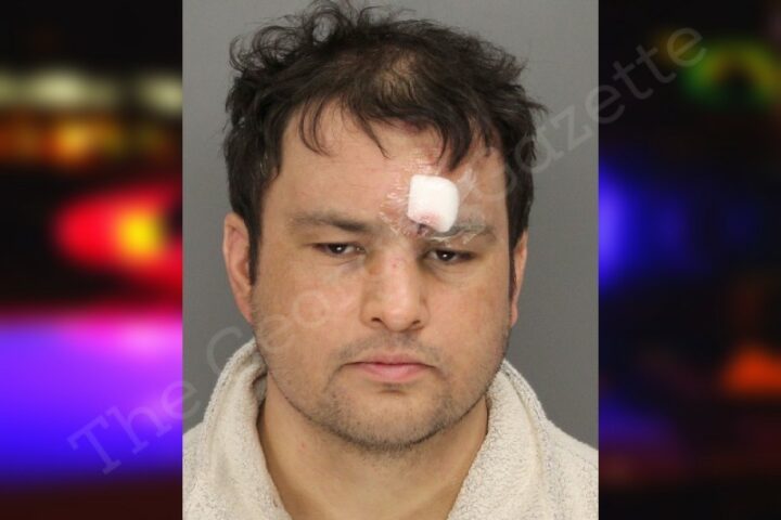 William Roden — Cobb County Jail Bookings