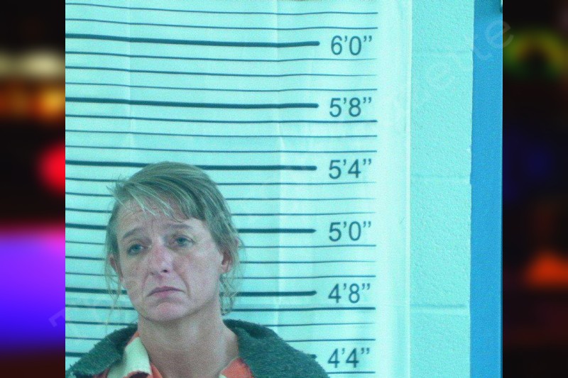 Jennifer Roper — Stephens County Jail Bookings