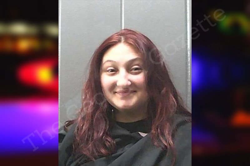 Lindsey Rice — Hart County Jail Bookings