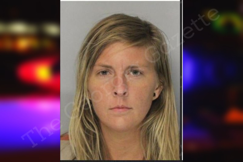 Rebecca Seel — Hall County Jail Bookings