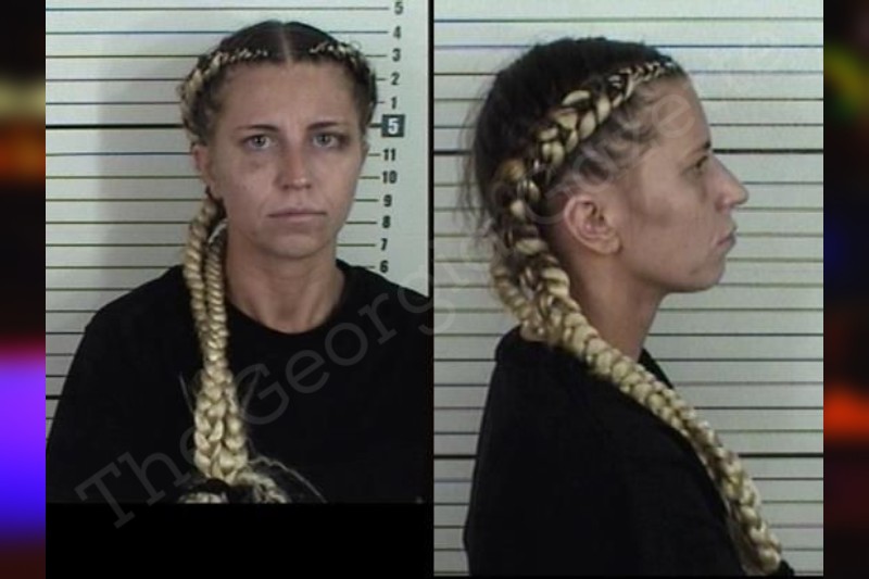 Amanda Sage — Camden County Jail Bookings