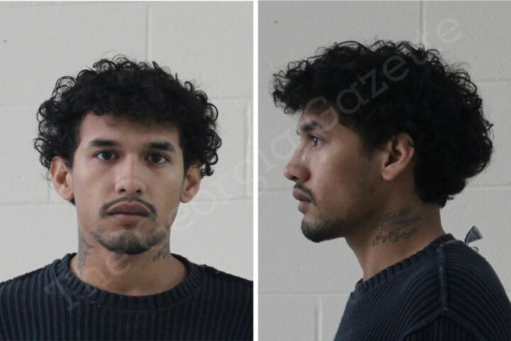 Gabriel Salas — Houston County Jail Bookings